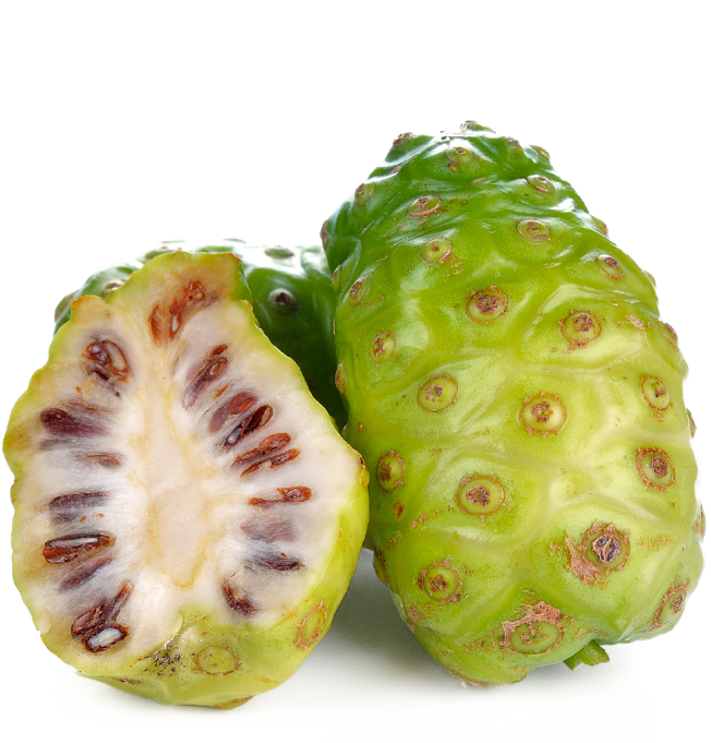 photo-noni-fruit.png (652×681)-花瓣网